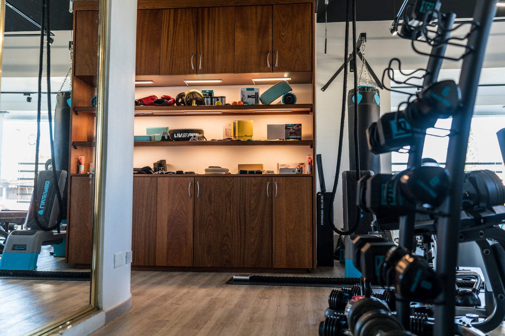 Wellness Pro Fitness Equipment